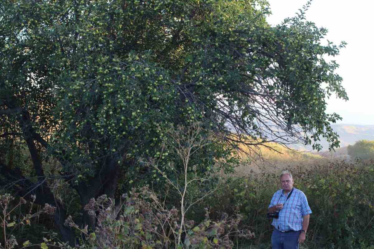 Interview with Andrew Lea | Cider Review