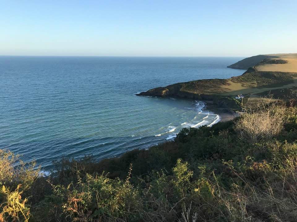 Stirring giants: a spotlight on Devon cider | Cider Review