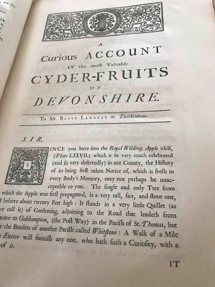 Stirring giants: a spotlight on Devon cider | Cider Review