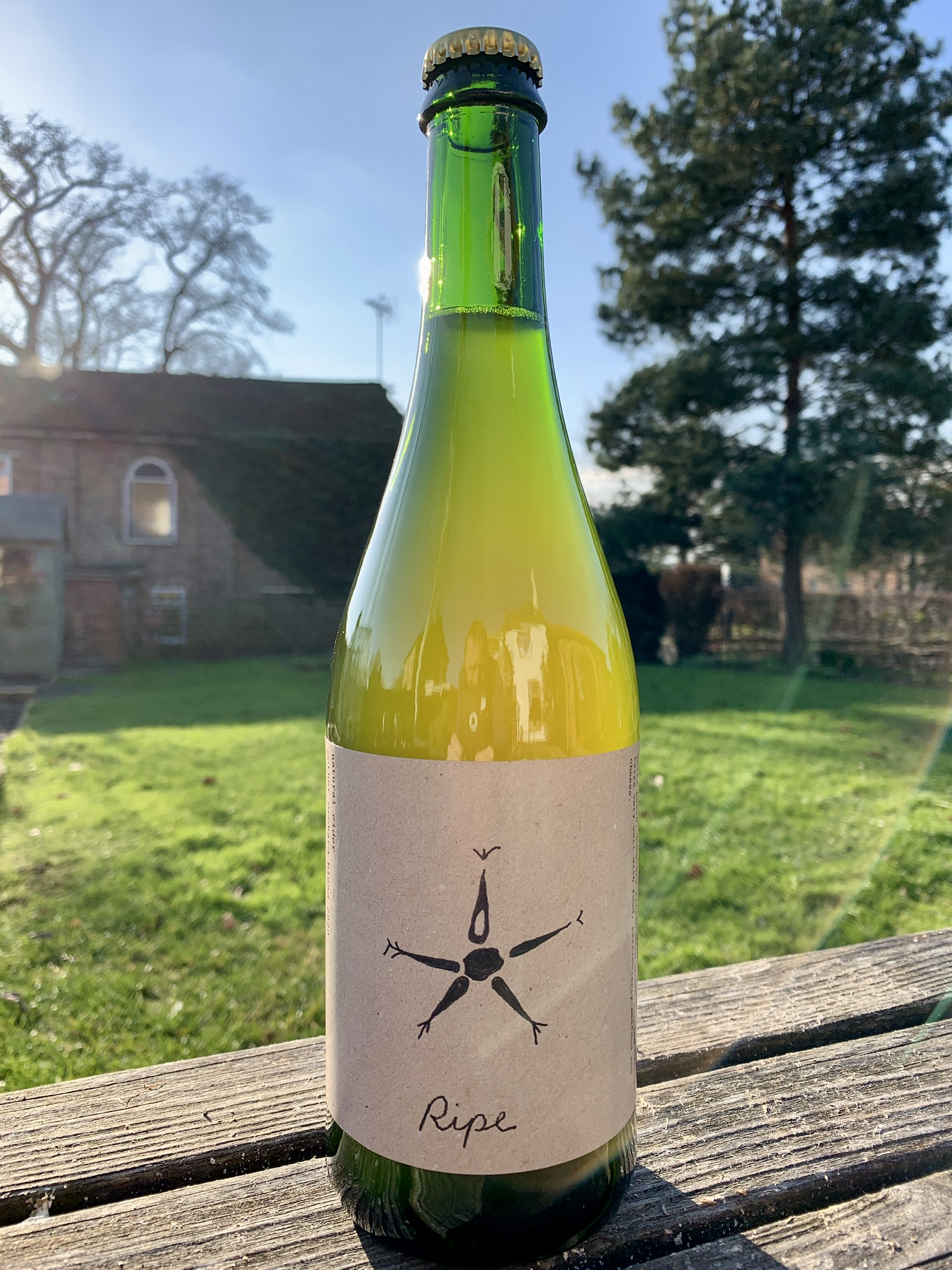 A Spotlight on Ripe | Cider Review