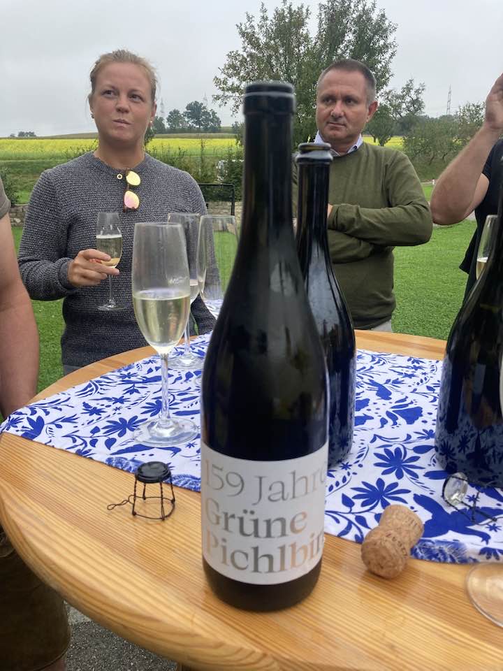 31 Austrian perries (and a cider) | Cider Review