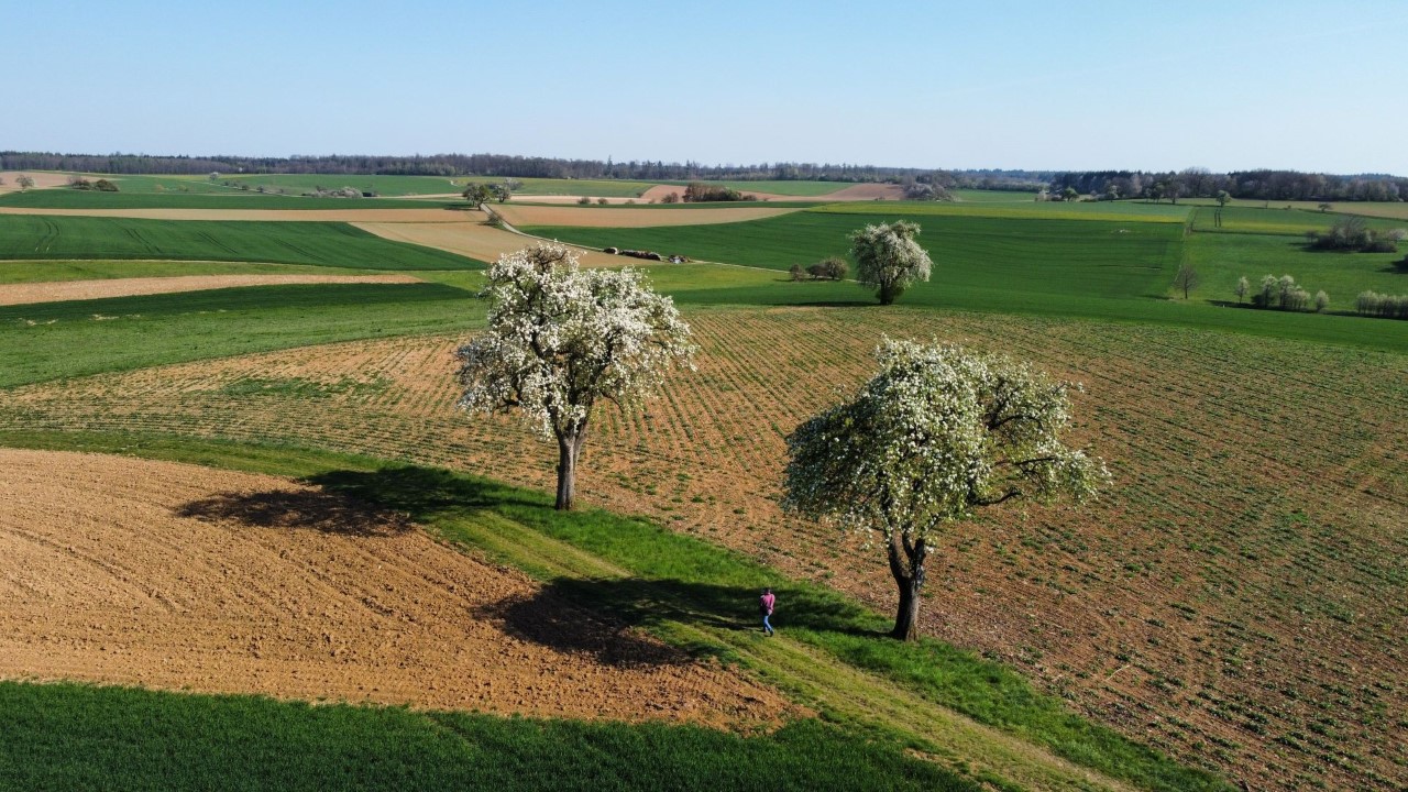 Meet your (perry)maker – Kertelreiter | Cider Review