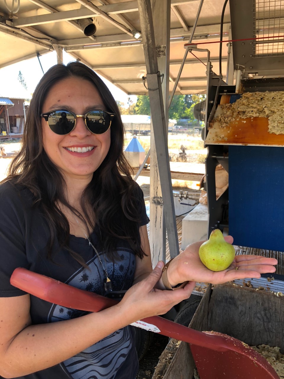 Meet your (perry)maker – Blossom Barn | Cider Review