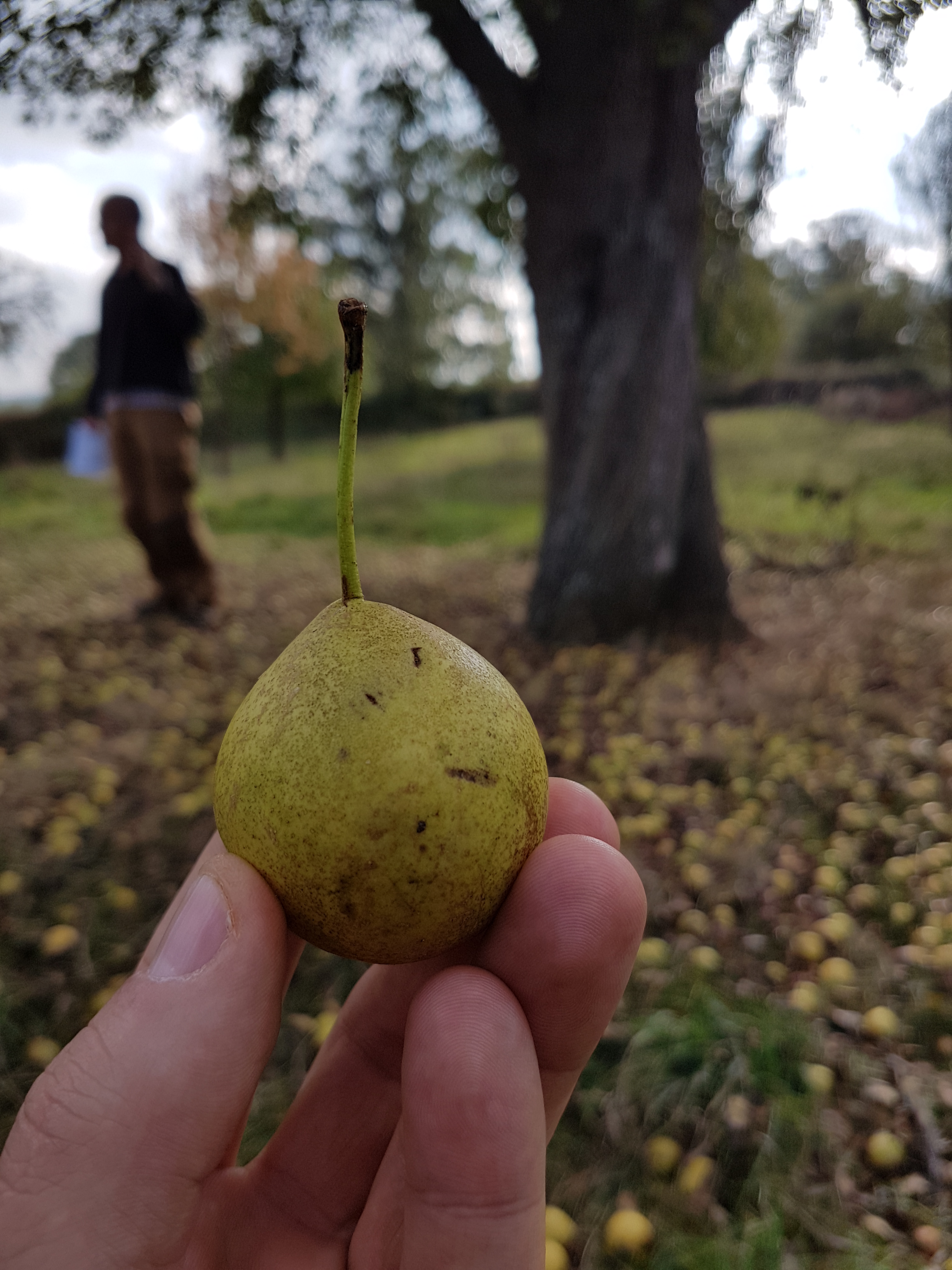 Kevin Minchew, Gabe Cook and the Once and Future Drink | Cider Review