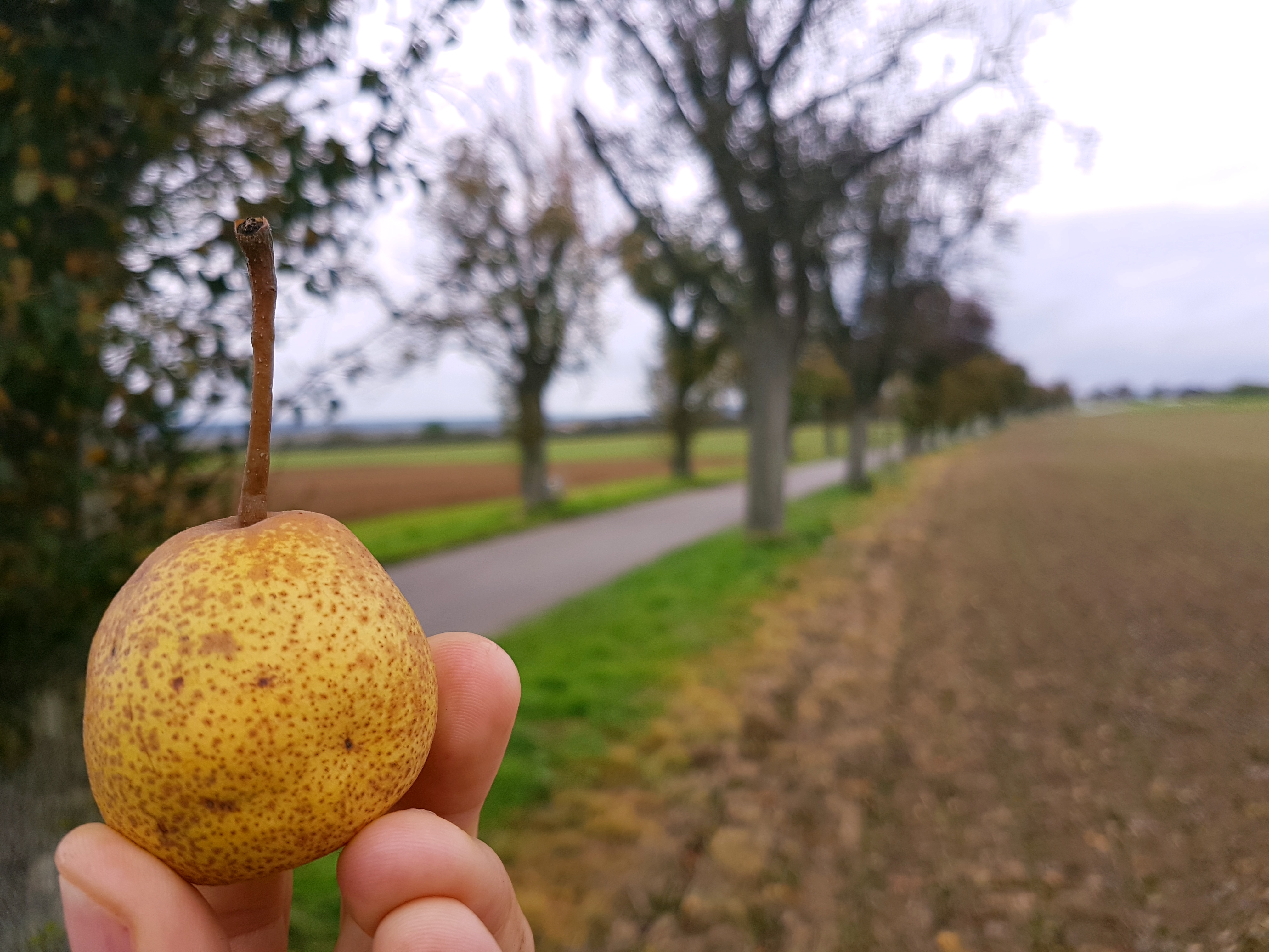 Kevin Minchew, Gabe Cook and the Once and Future Drink | Cider Review