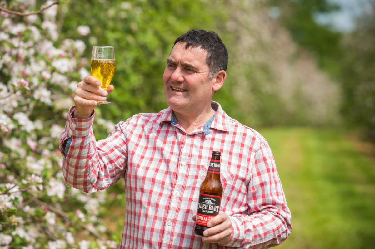Interview with Richard Johnson, Head Cidermaker, Thatchers | Cider Review