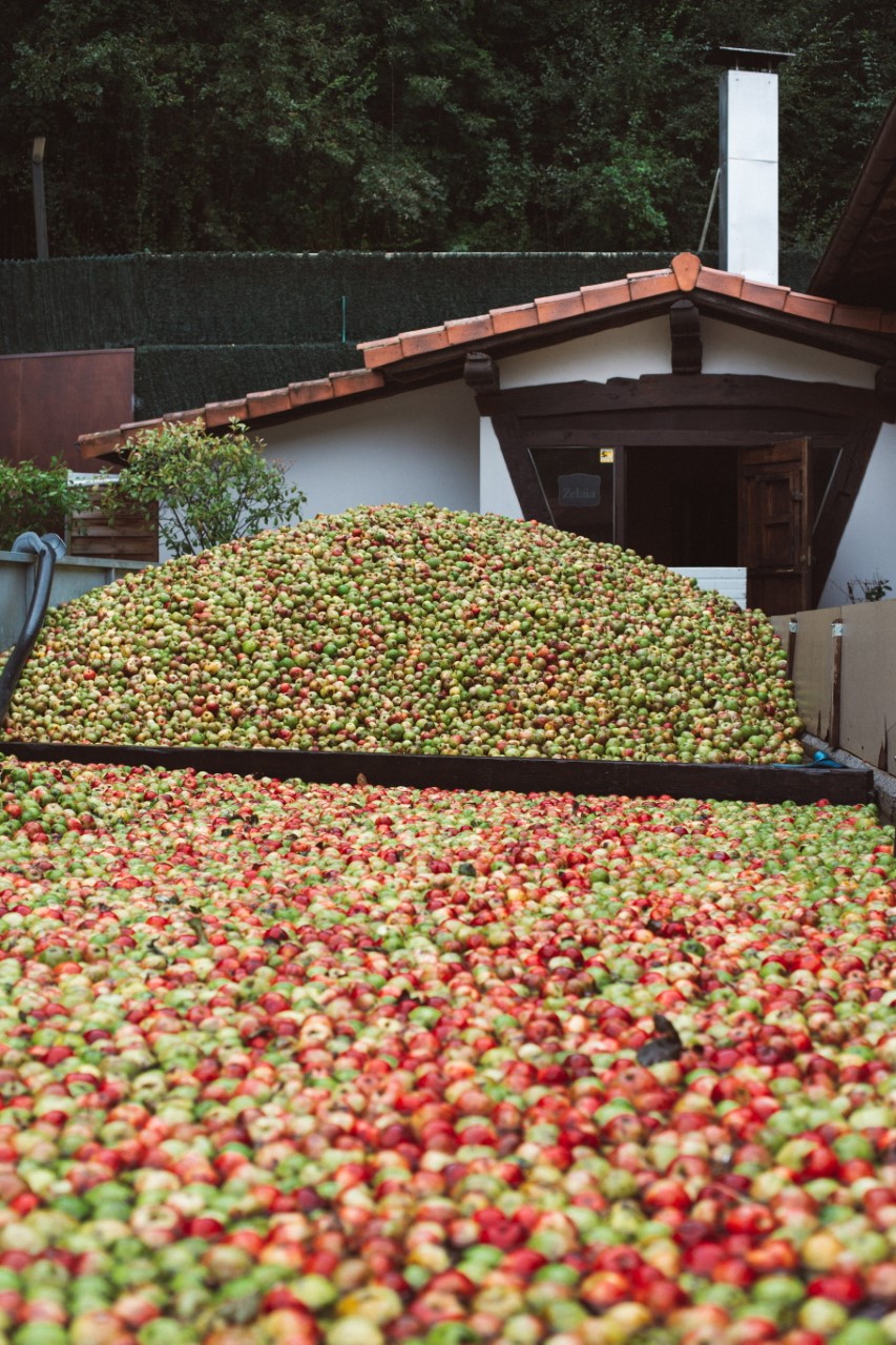 Bizio Cidery: The Art Of Authentic Basque Country Sidra | Cider Review