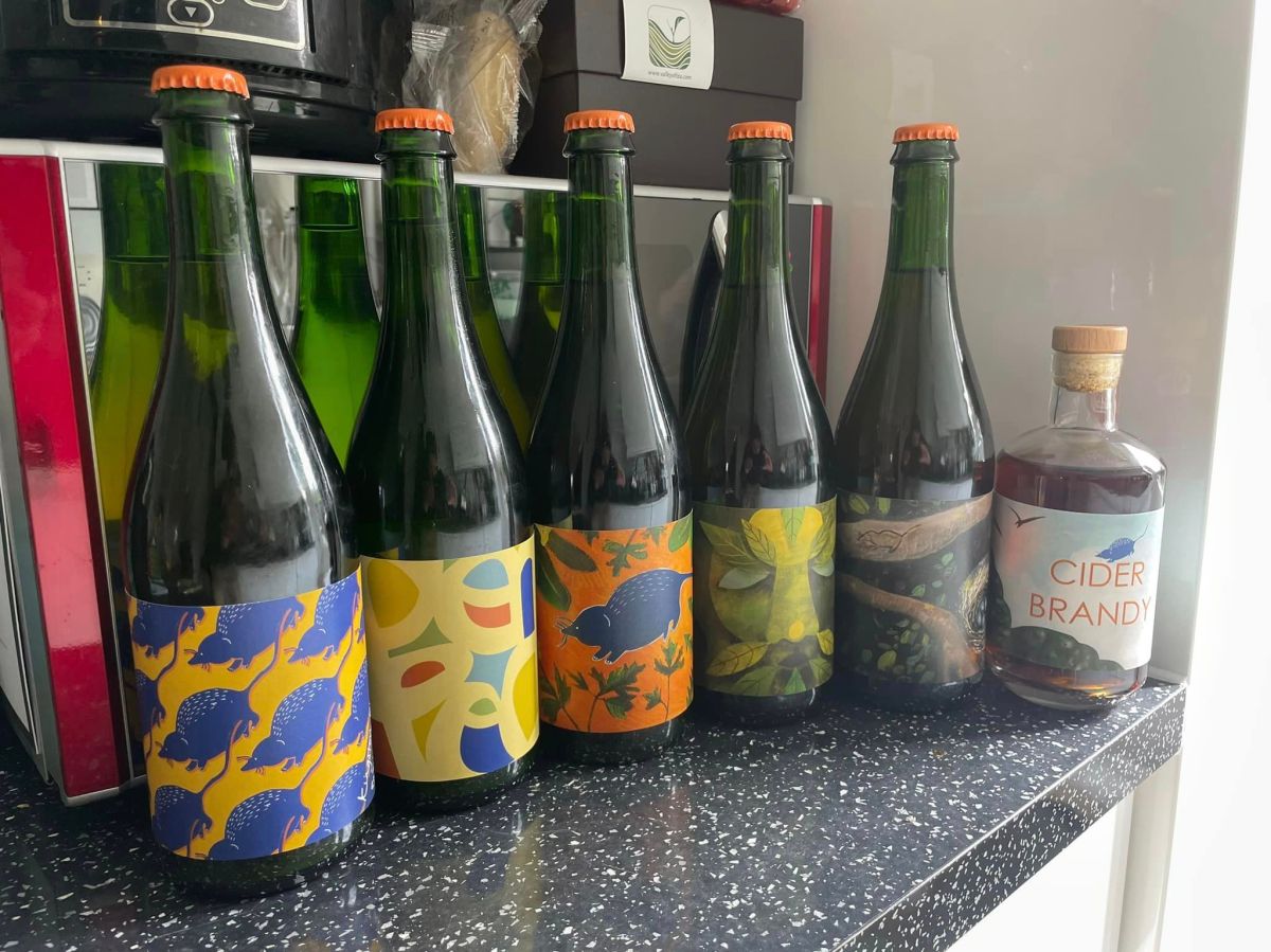 Matters of taste plus ciders, perry and brandy from Artistraw | Cider ...