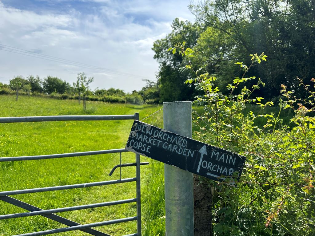 Distilling the orchard’s spirit — An interview with Sam of Wilding ...