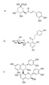 Cider Science 101: Understanding Tannin | Cider Review
