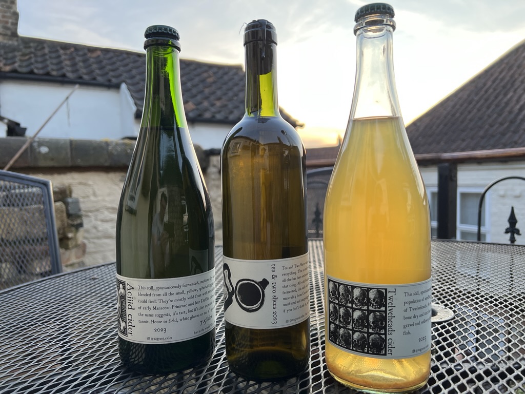 Wild are the seedlings: Introducing Vagrant Cider | Cider Review