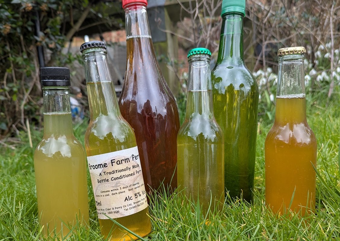 Cider Review | Insights On World Cider and Perry