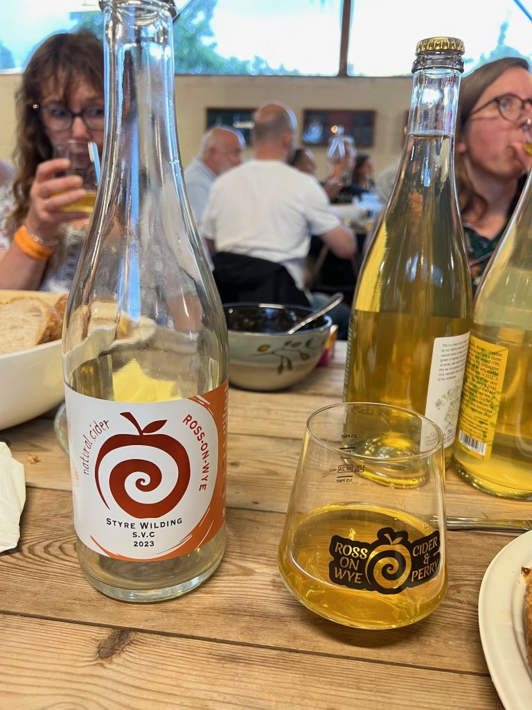 Ross-on-Wye Cider & Perry Festival 2025 | Cider Review