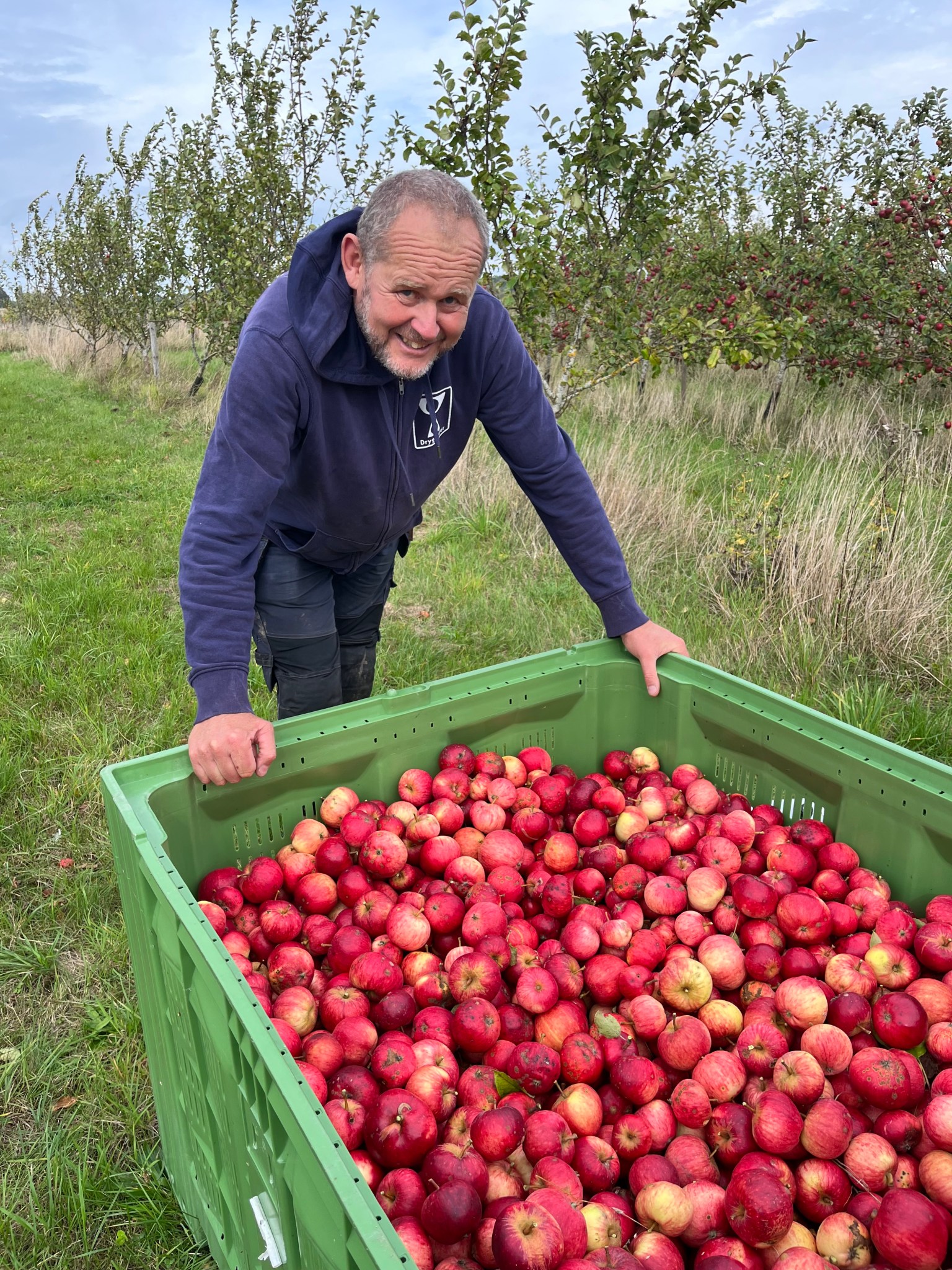 Harvest 2025 – The Producers Summary Pt 3 | Cider Review